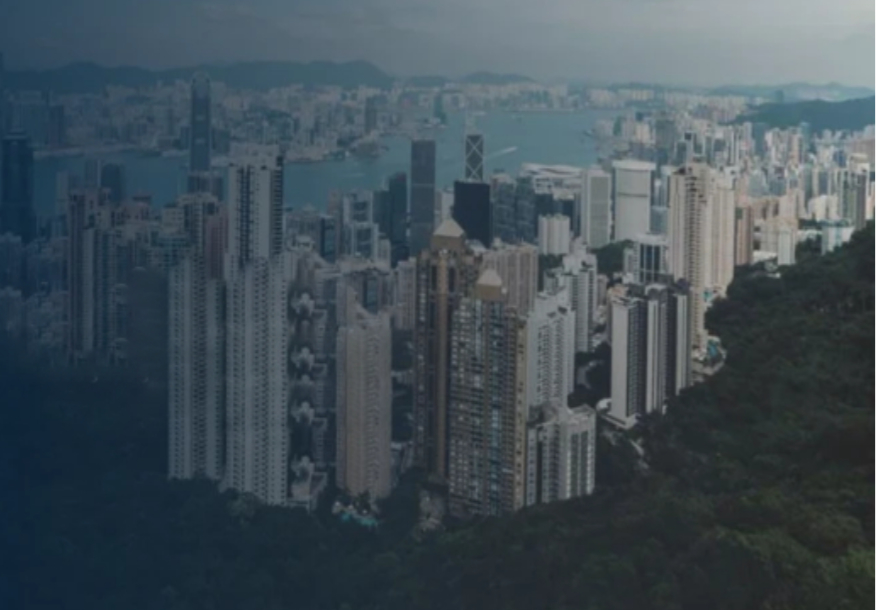 Scopex ERP & CRM Case Study 2022 - 2023